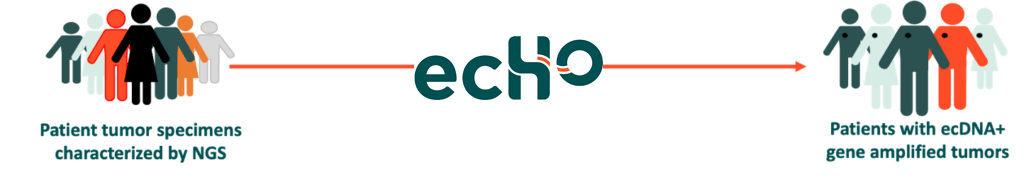 What We Do - Boundless Bio