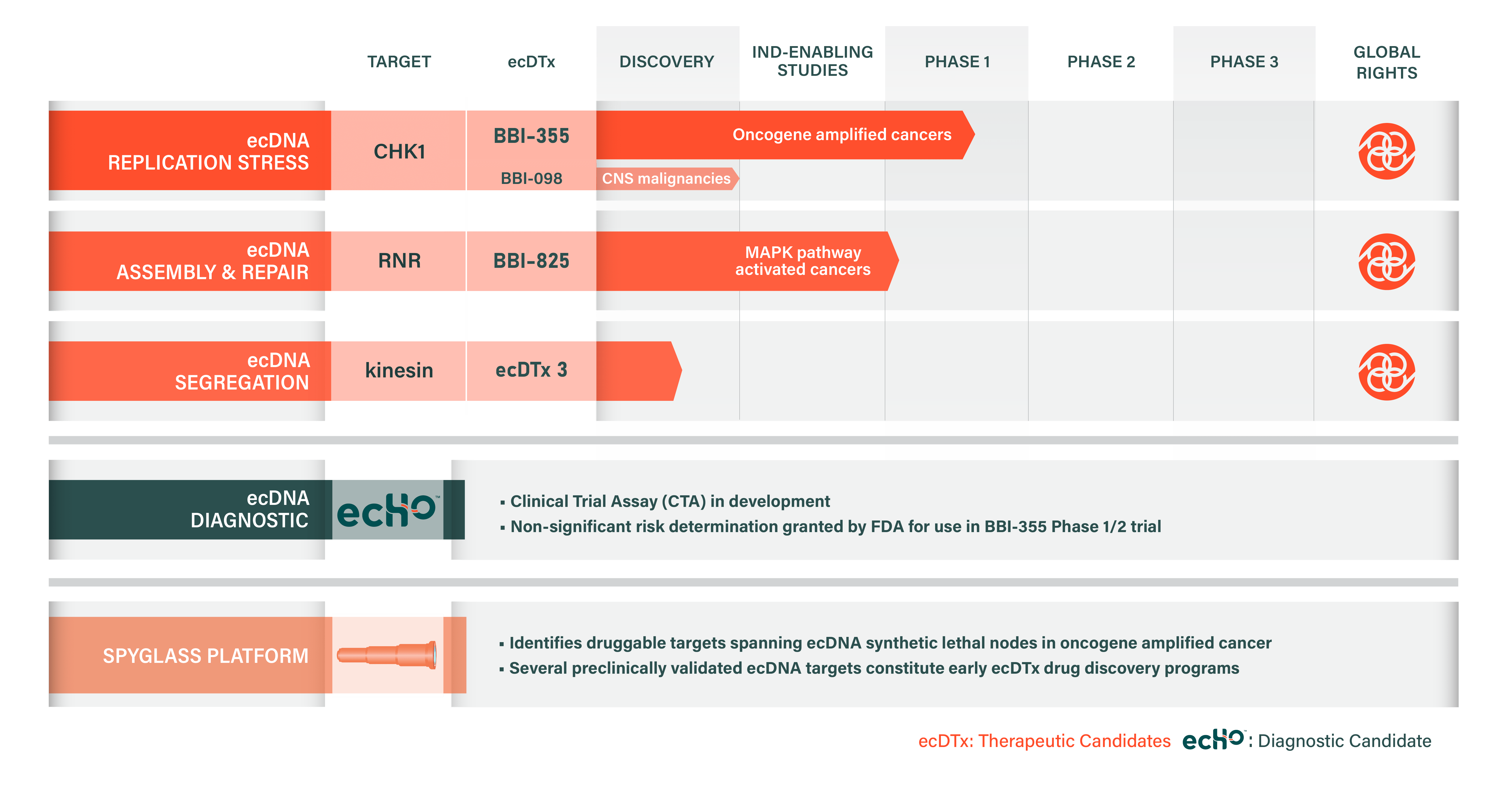What We Do - Boundless Bio